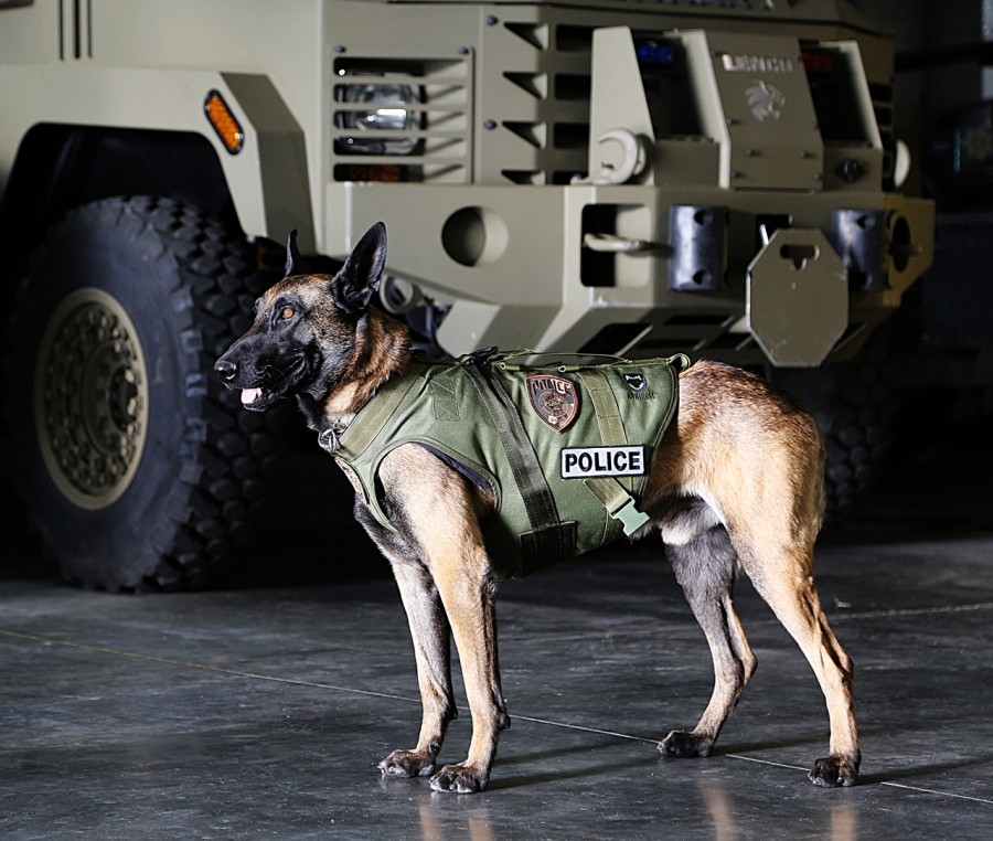 Unified Police Department's Top Notch K9s - Utah Stories