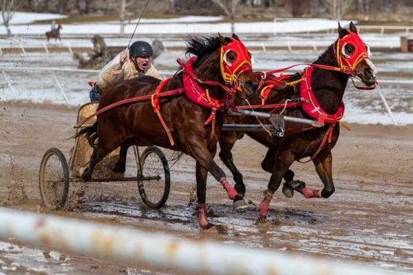 And They're Off! Chariot Races in Ogden - Utah Stories