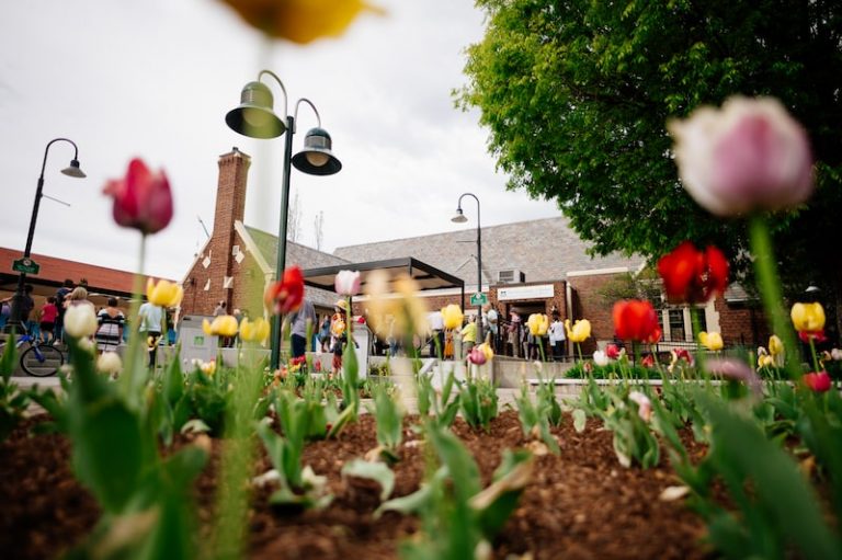 Renovated Sprague Library Retains its Historic Charm - Utah Stories